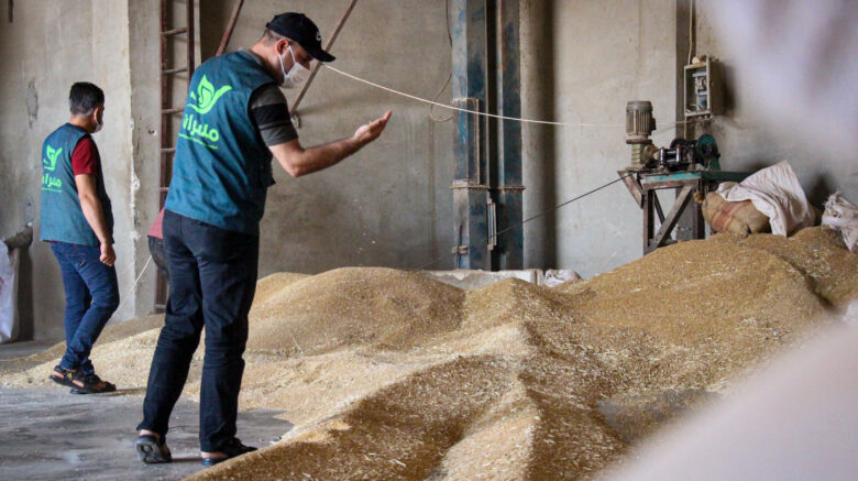 Wheat Support Activity | MASRRAT