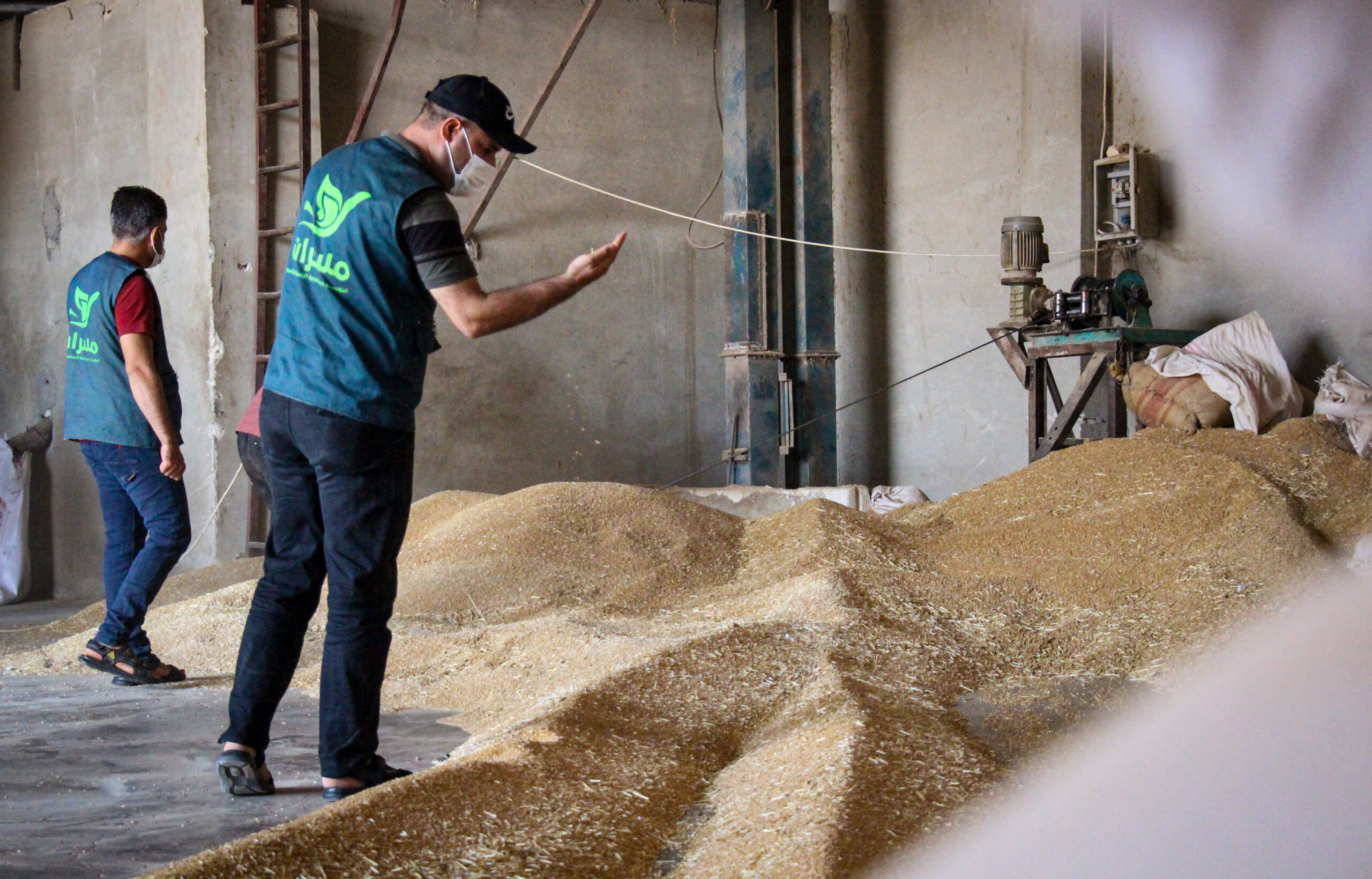 Wheat Support Activity | MASRRAT